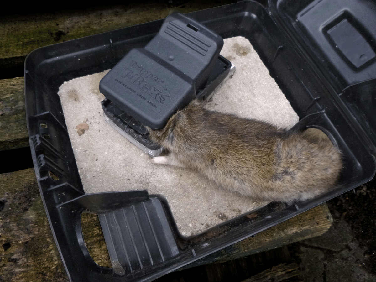 RATMO – Arctic systems